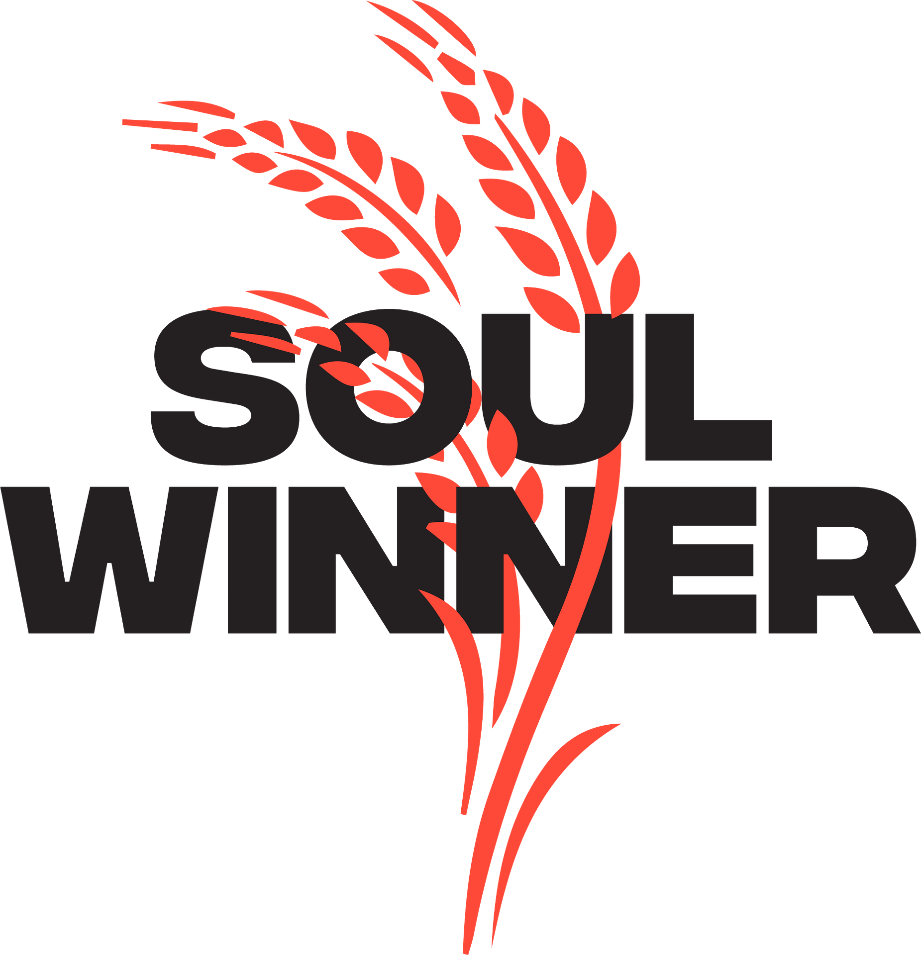 Soul Winner – Everything you need to know to lead people to Jesus